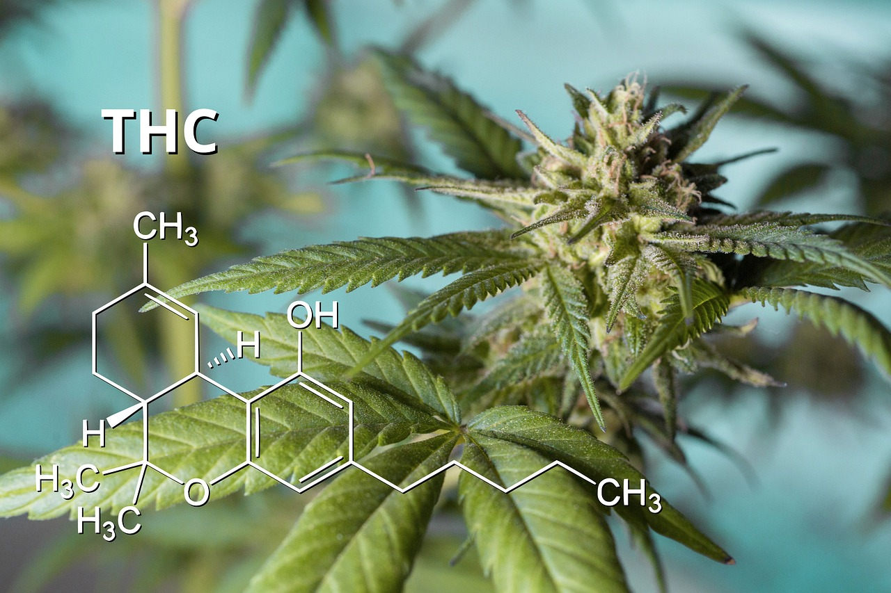 A Guide to the THC Types and Their Health Benefits | DC Collective